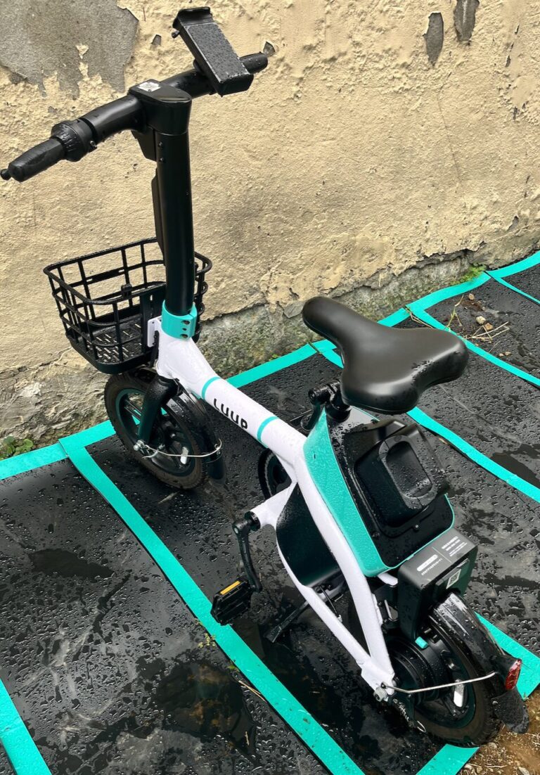 番外編 LUUPを使ってみた！ | Omickeyのテスラライフ